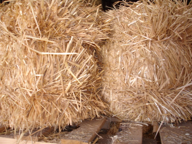 Long Precut Rye Straw | Aden Brook