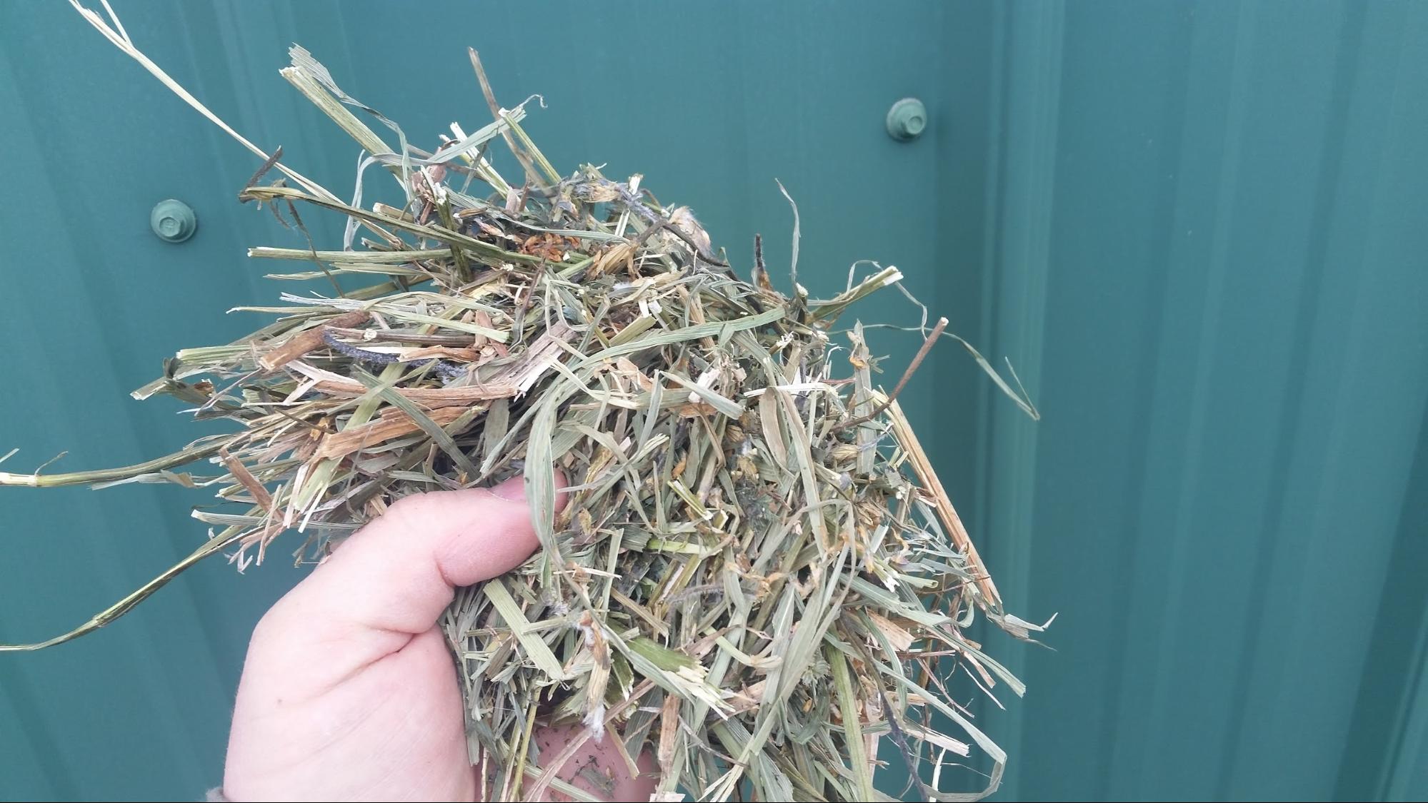 Clover Timothy Mix Hay | Aden Brook