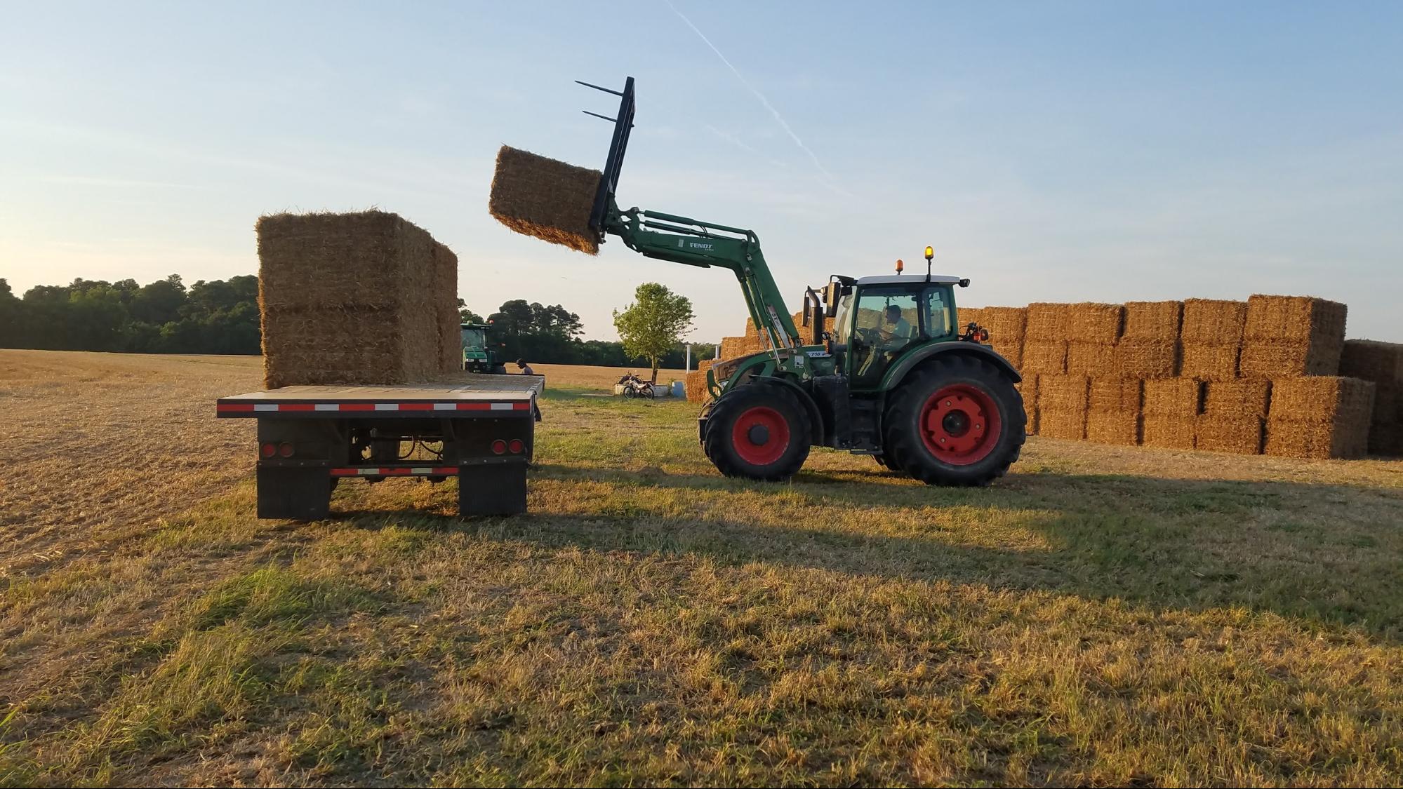Wheat Straw For Erosion Control & Construction | Aden Brook